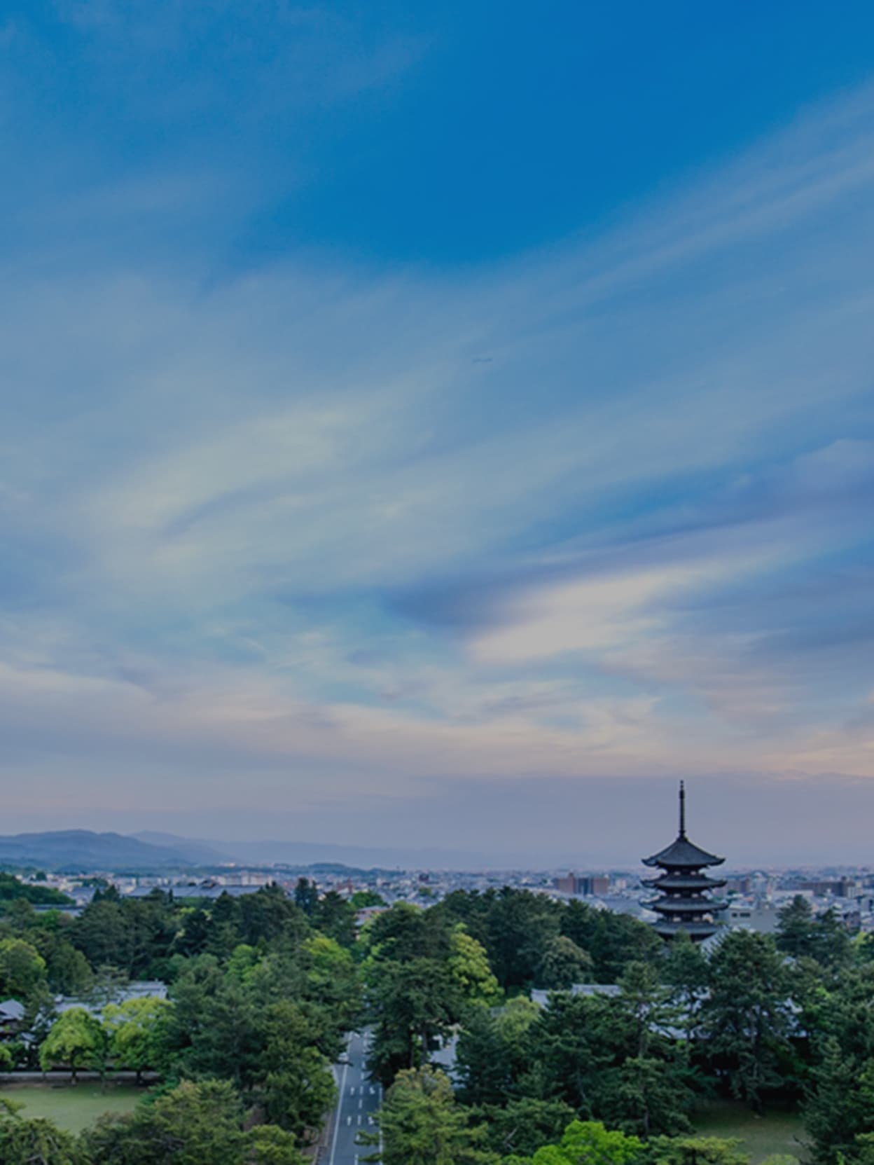 Comfy Stay │ 奈良で宿泊ならコンフィーステイ